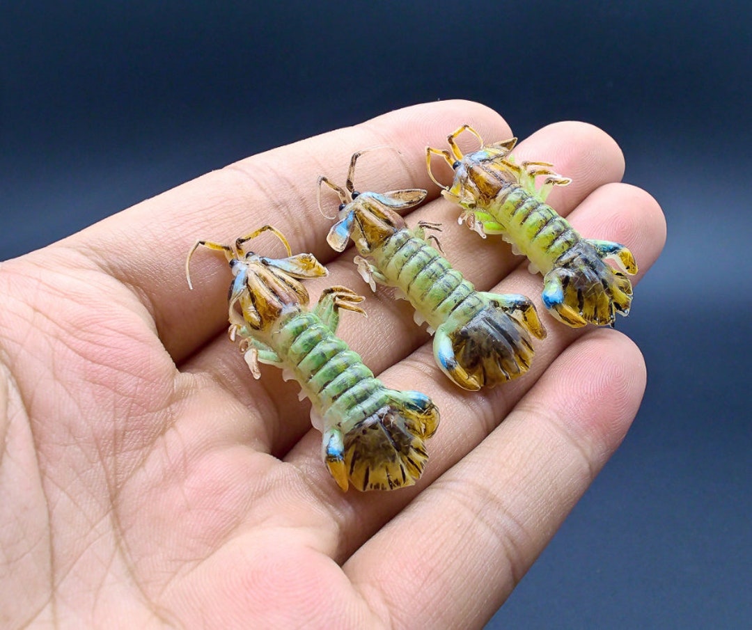 1/12 Scale Realistic Miniature Mantis Shrimp - Dollhouse Food | Fake ...