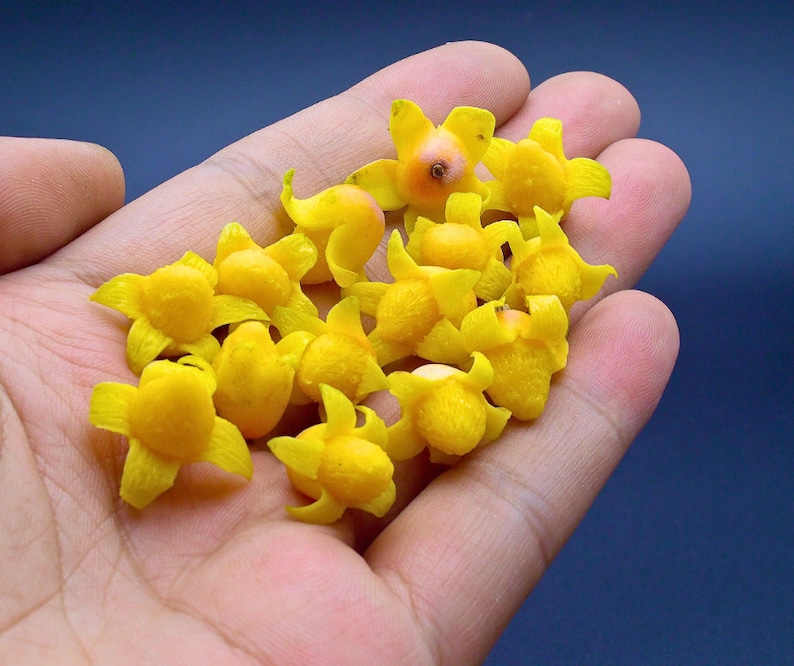 1:12 Scale Realistic Miniature Mango - Dollhouse Food | Fake Food ...