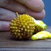 1:12 Scale Realistic Miniature Durian Dollhouse Food Fake Food ...