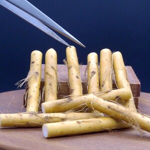 1:12 Scale Realistic Miniature Yam - Dollhouse Food | Fake Food ...