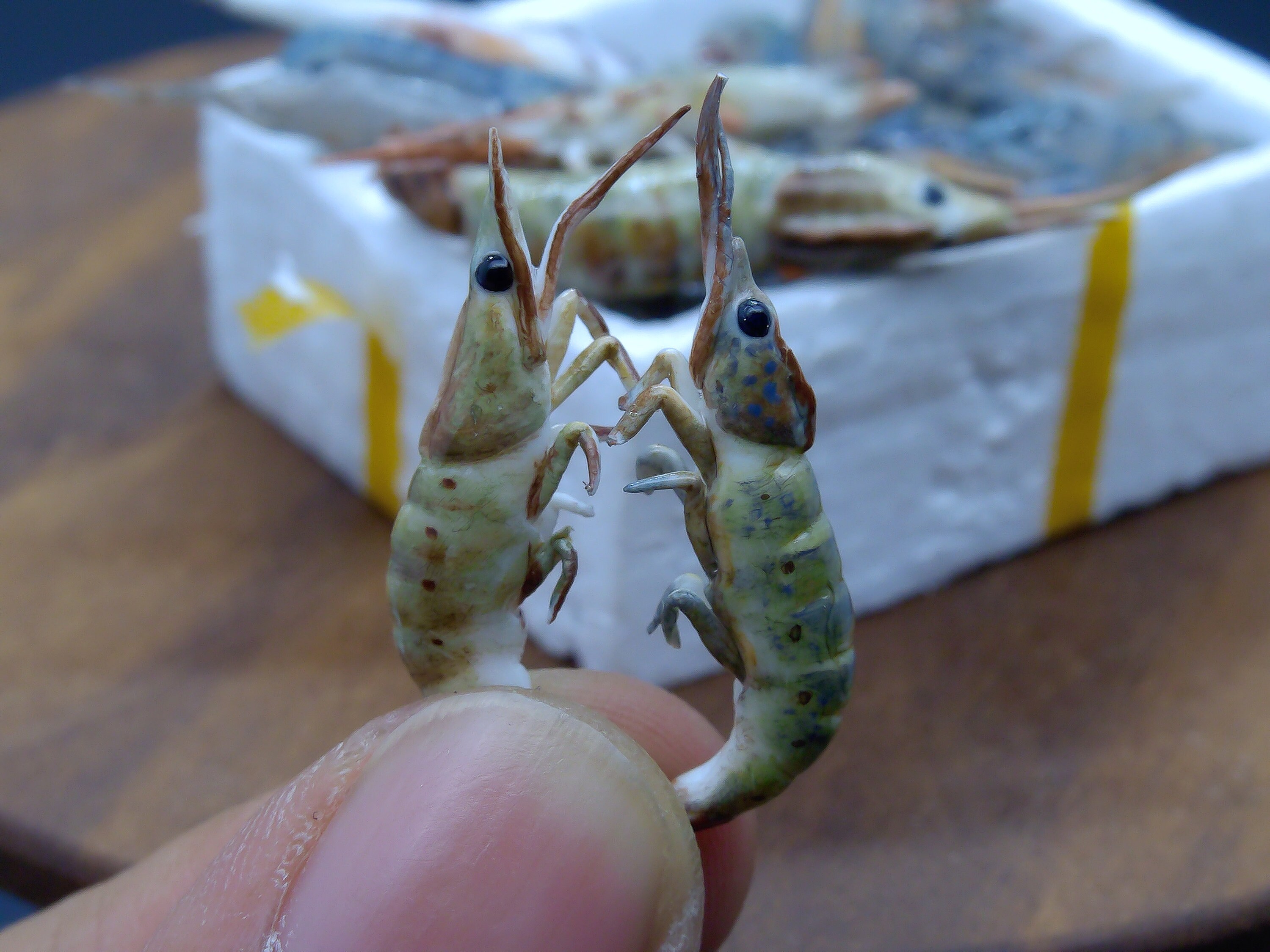 Miniature Resin Clay Shrimp - 1/12 Scale Dollhouse Food - Etsy