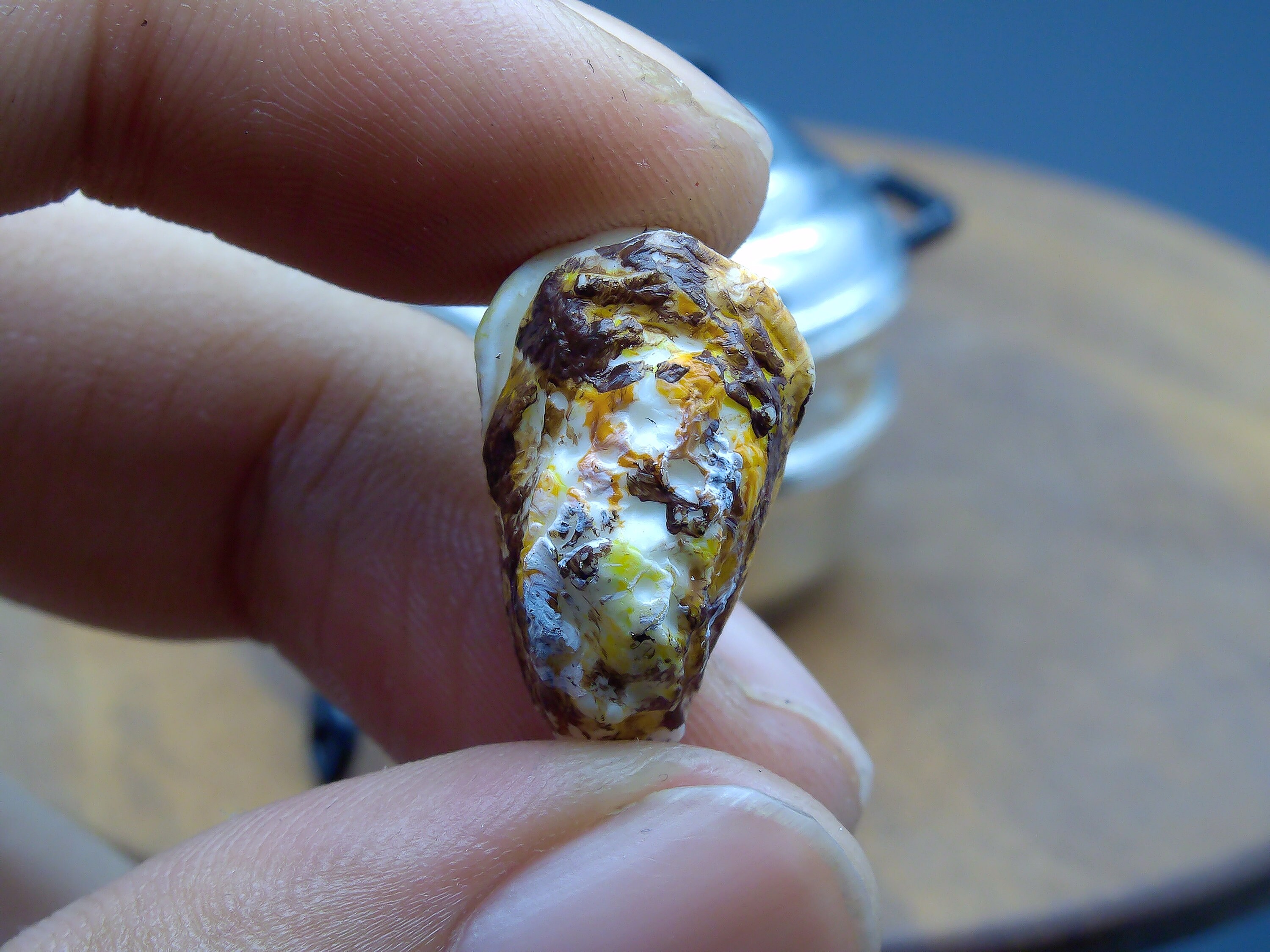 Resin Clay Miniature Oyster - Realistic Dollhouse Food, 1/12 Scale - Etsy