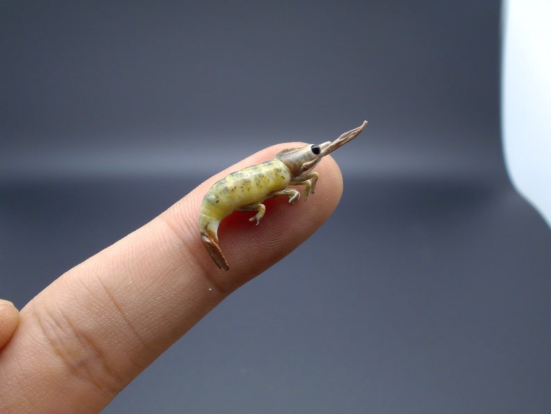 Miniature Resin Clay Shrimp - 1/12 Scale Dollhouse Food - Etsy