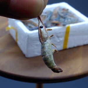 Miniature Resin Clay Shrimp - 1/12 Scale Dollhouse Food - Etsy