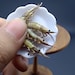 Miniature Resin Clay Shrimp - 1/12 Scale Dollhouse Food - Etsy