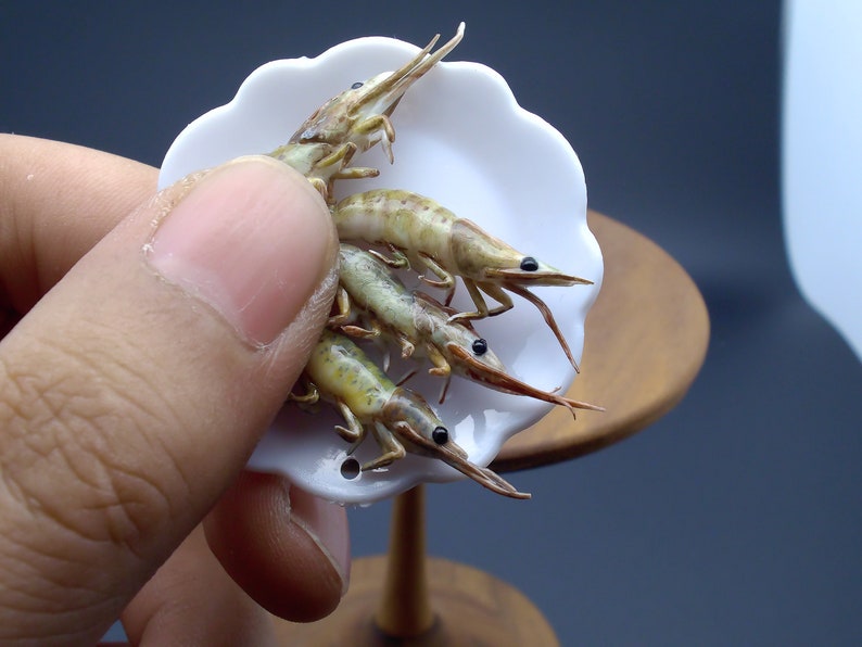Miniature Resin Clay Shrimp - 1/12 Scale Dollhouse Food - Etsy