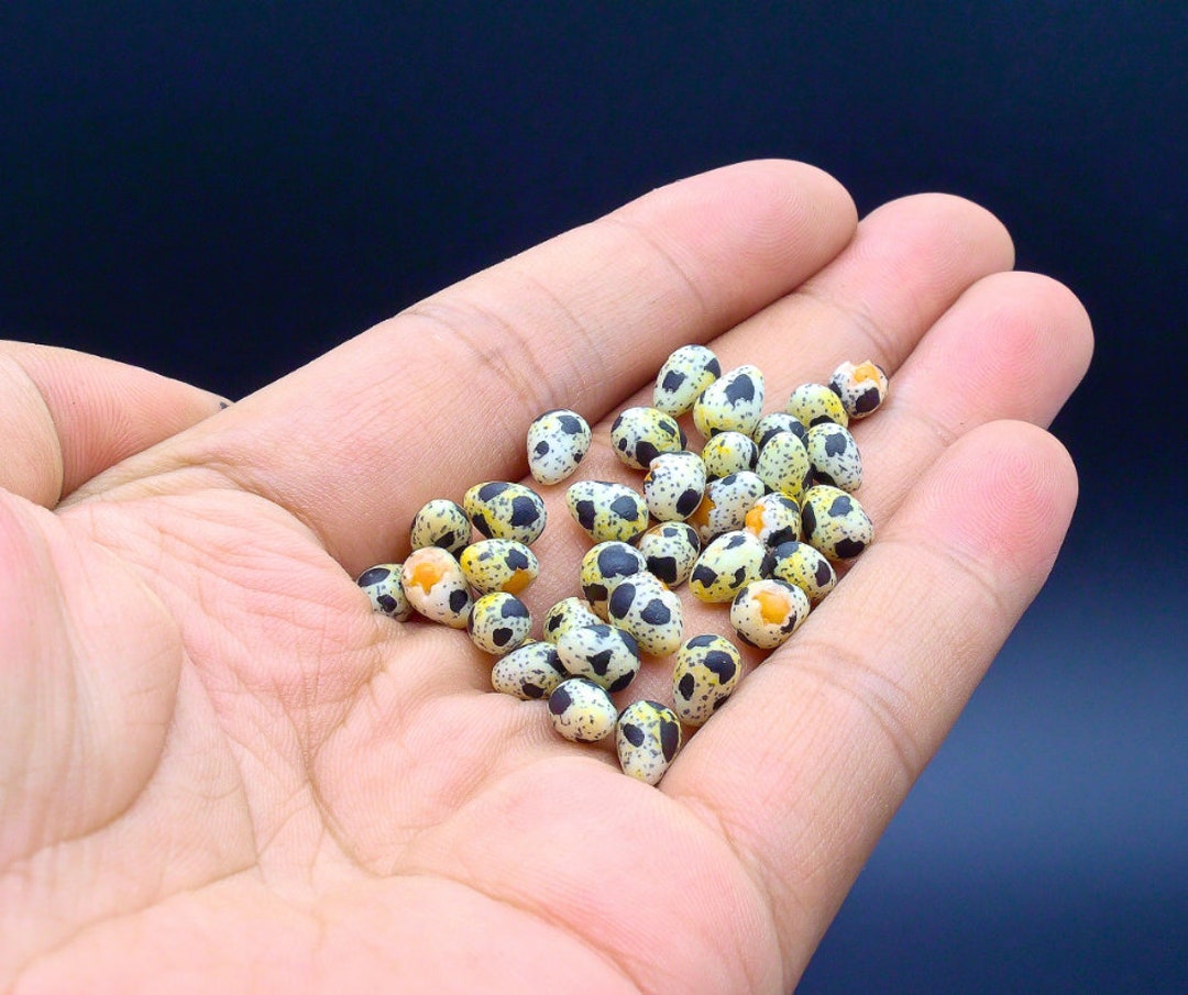 1:12 Scale Realistic Miniature Quail Eggs - Dollhouse Food | Fake Food ...