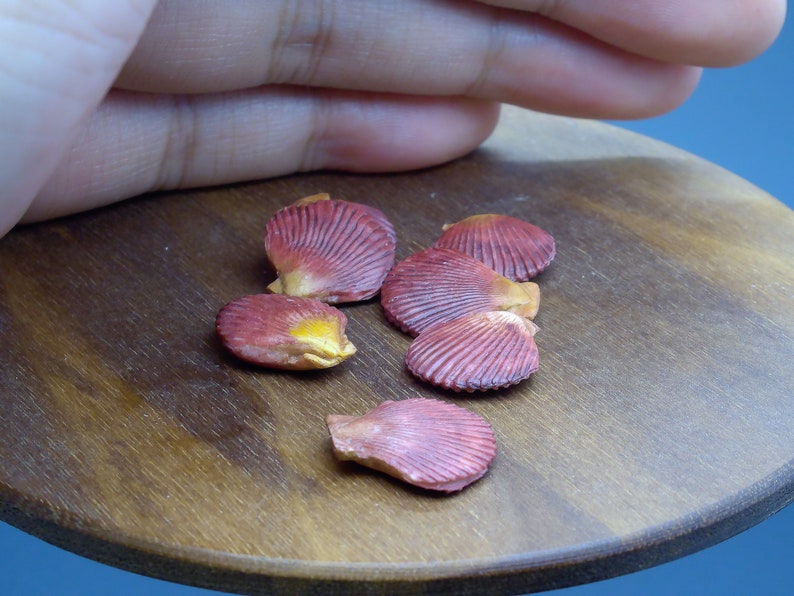Miniature Scallop, Dollhouse Food, Fake Food, Mini Food, Miniature ...