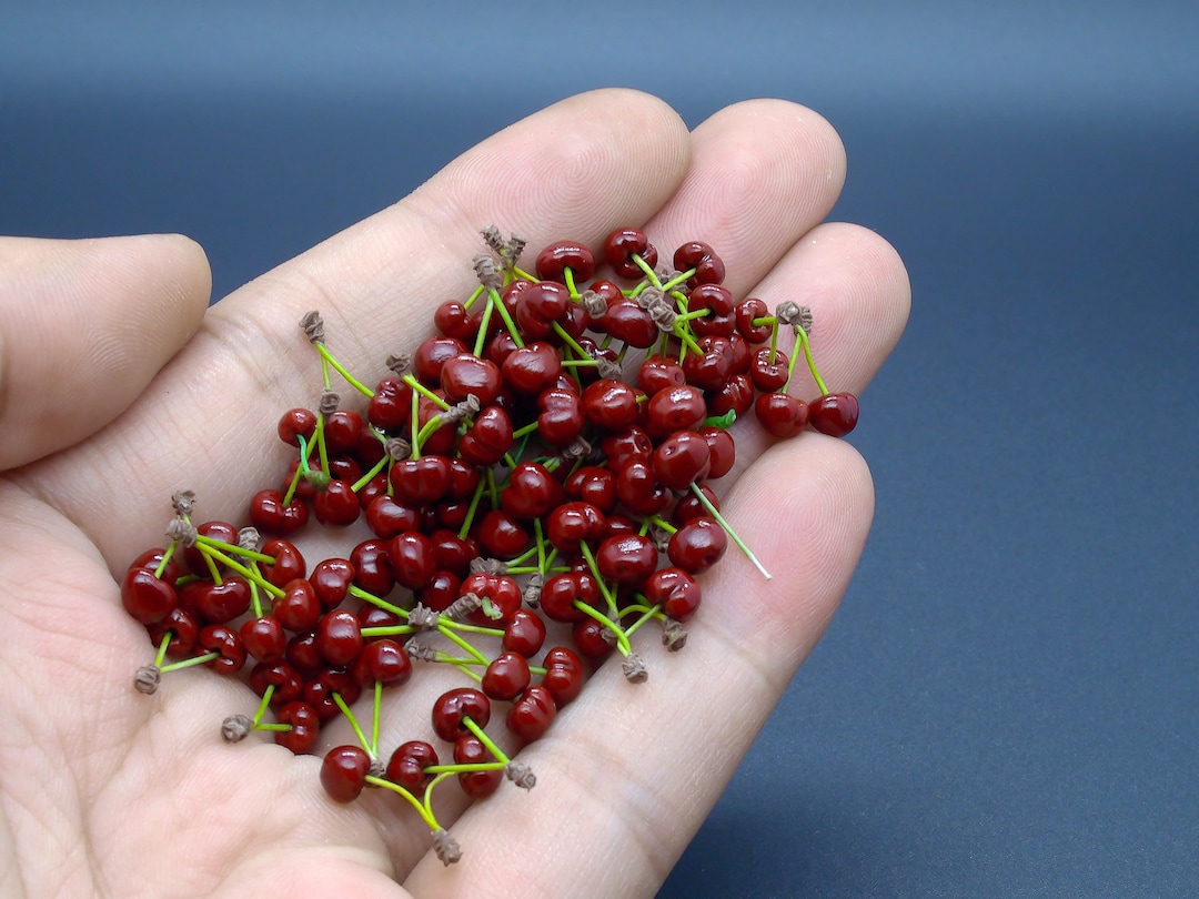Realistic 1/12 Scale Miniature Resin Clay Cherry, Dollhouse Food - Etsy