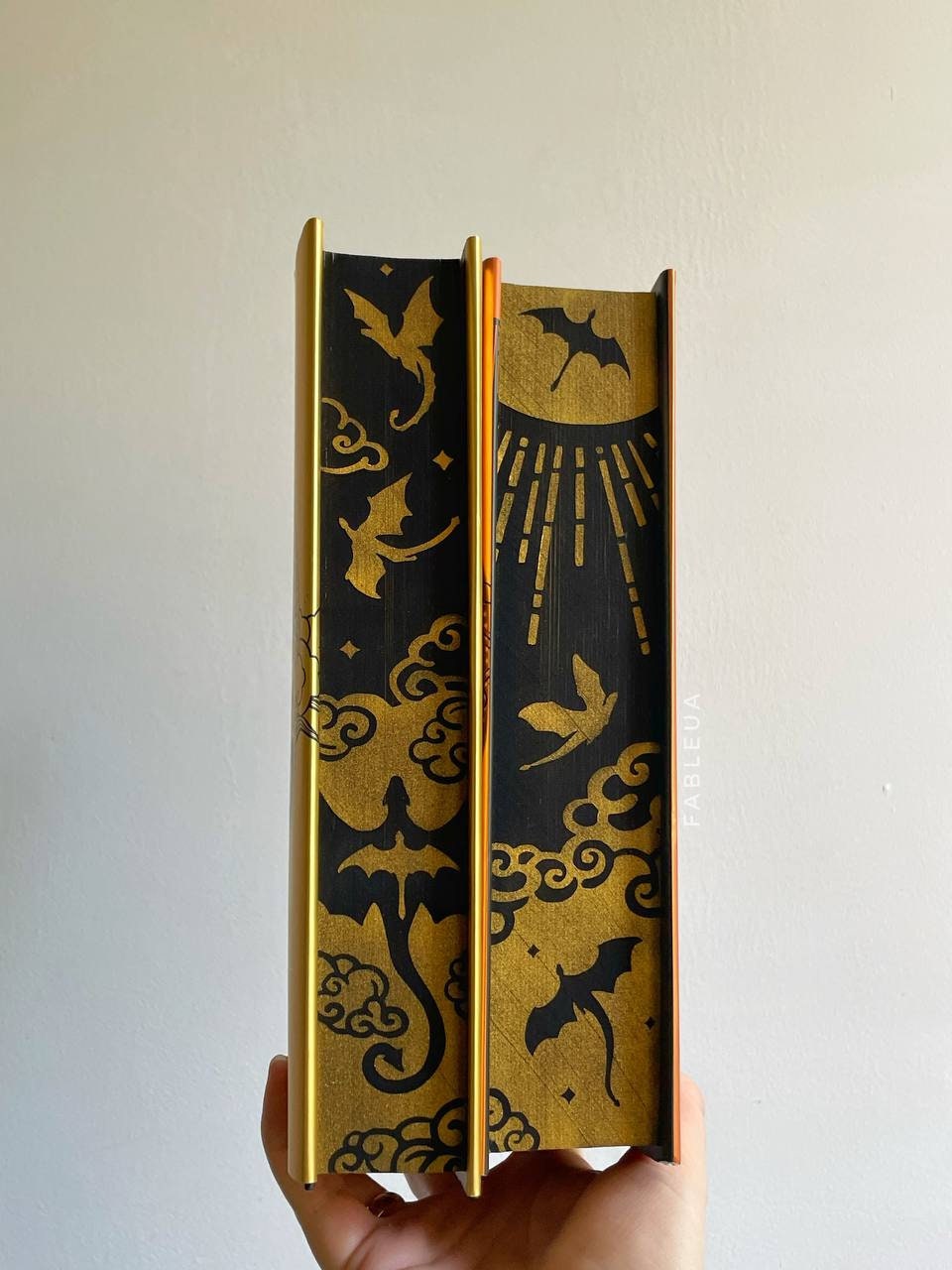 Sprayed Edges, Stenciled Books, Sprayed Books, Fourth Wing and Iron ...