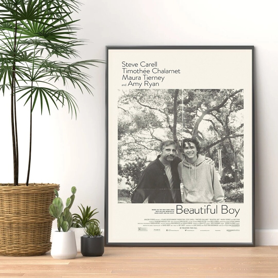 Beautiful Boy (2018) Movie Poster Print, Canvas Wall Art, Room Decor ...