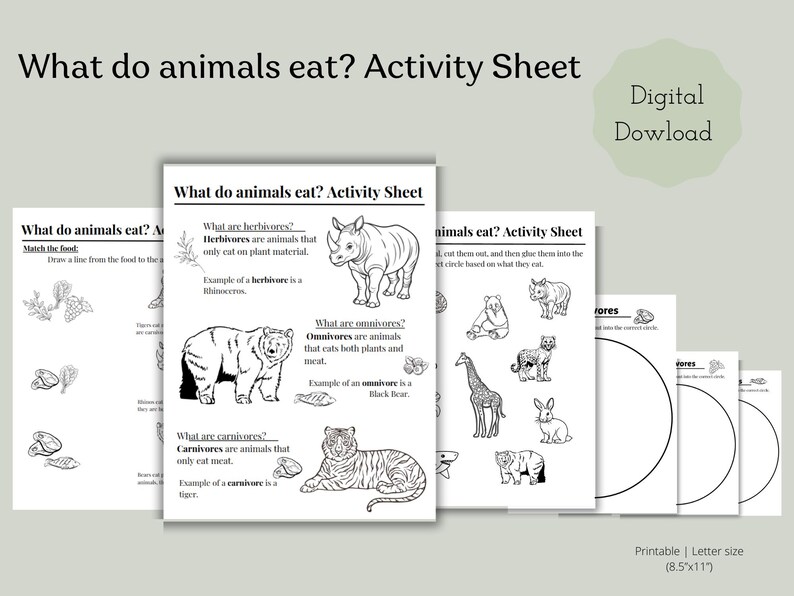 What Do Animals Eat? - Fun & Educational Activity Sheet for Kids - Etsy