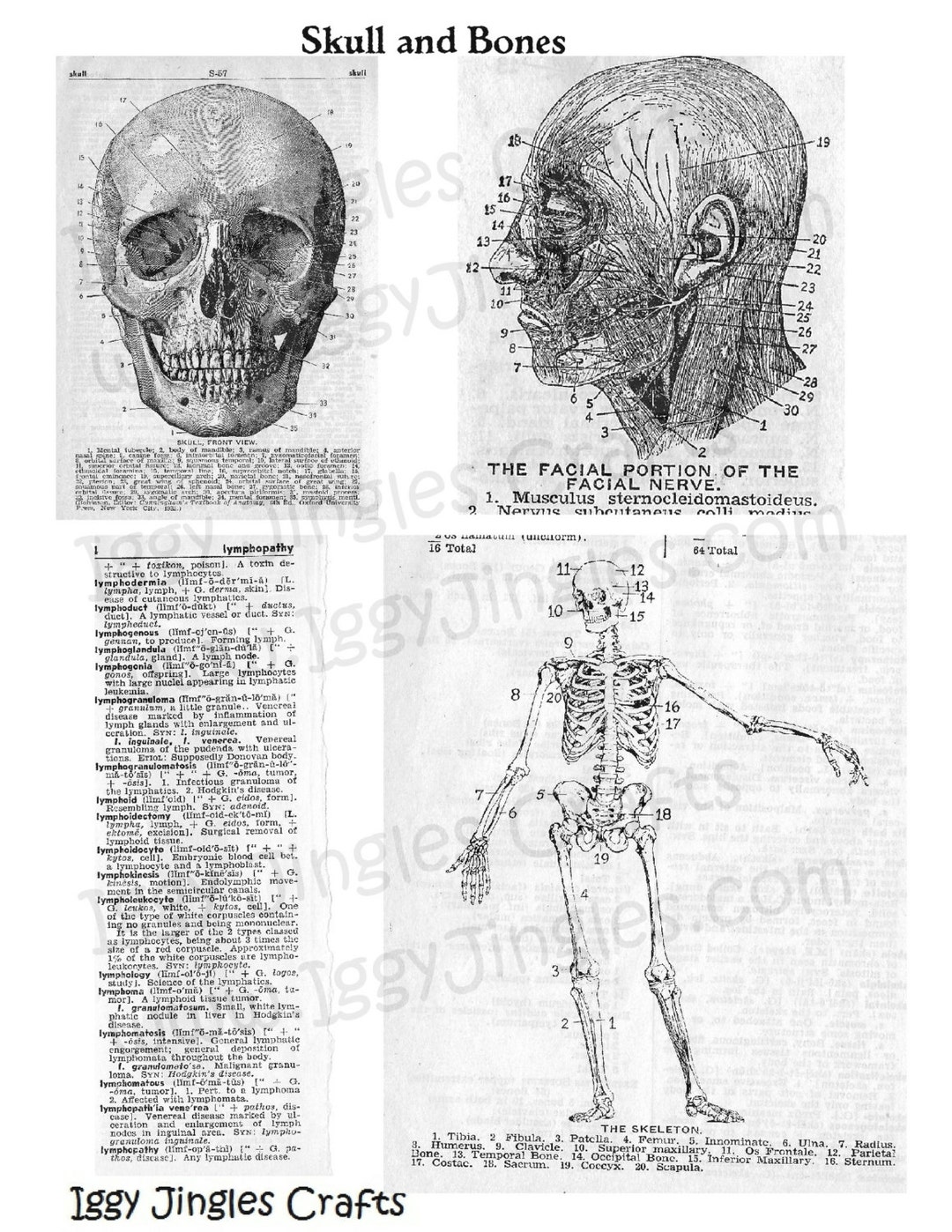 Vintage Skull and Bones Collage Sheet, Halloween Decor (digital ...
