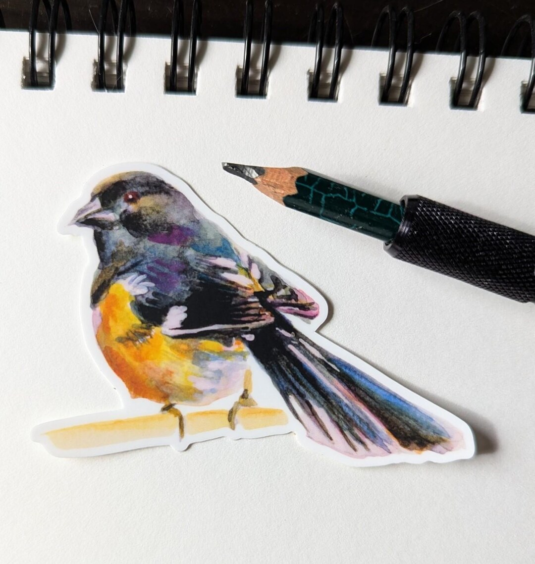 Watercolor Male Towhee Sticker - Etsy