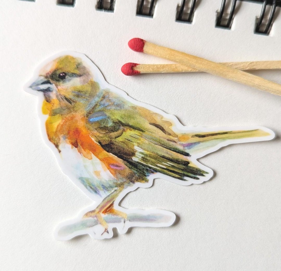 Watercolor Female Towhee Sticker - Etsy