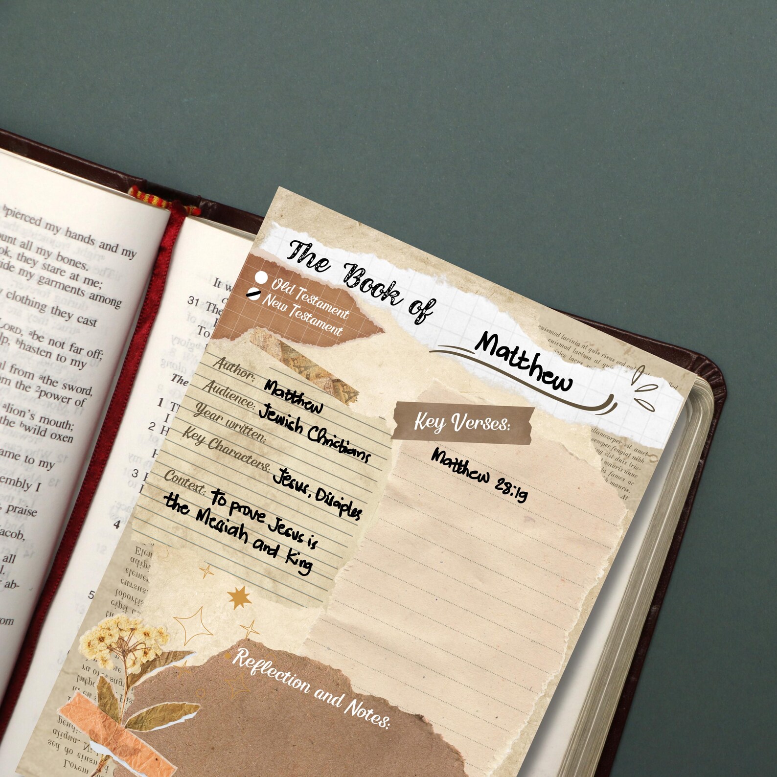 Vintage Bible Chapter Summary Template: Bible Inserts Junk Journal ...