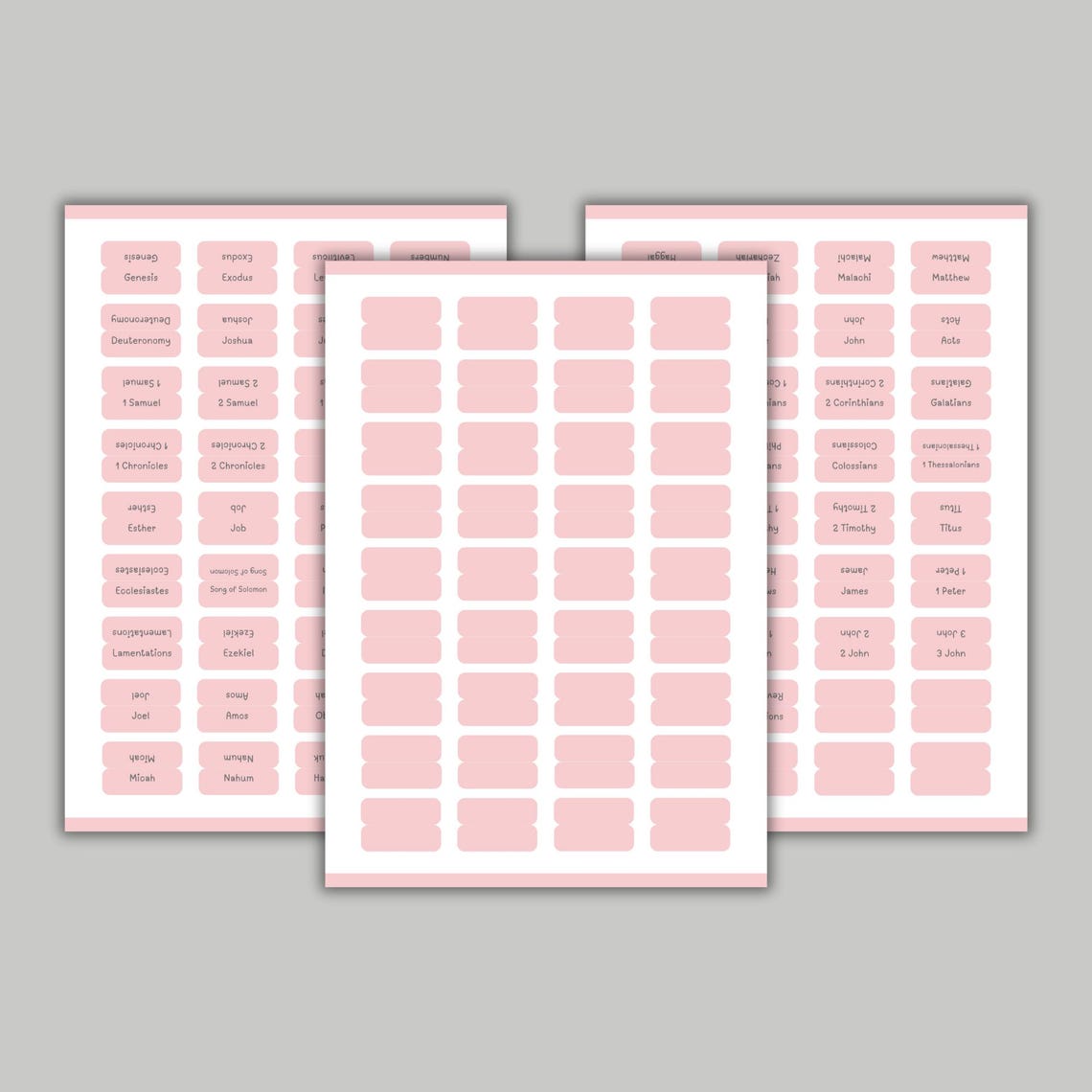 Printable Pink Bible Tabs Bible Journaling 66 Books of the Bible Free ...