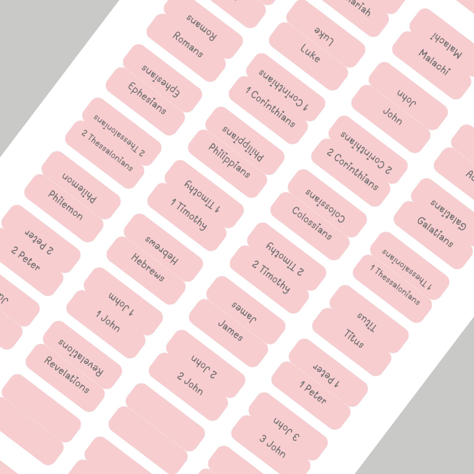 Printable Pink Bible Tabs | Bible Journaling | 66 Books of the Bible ...