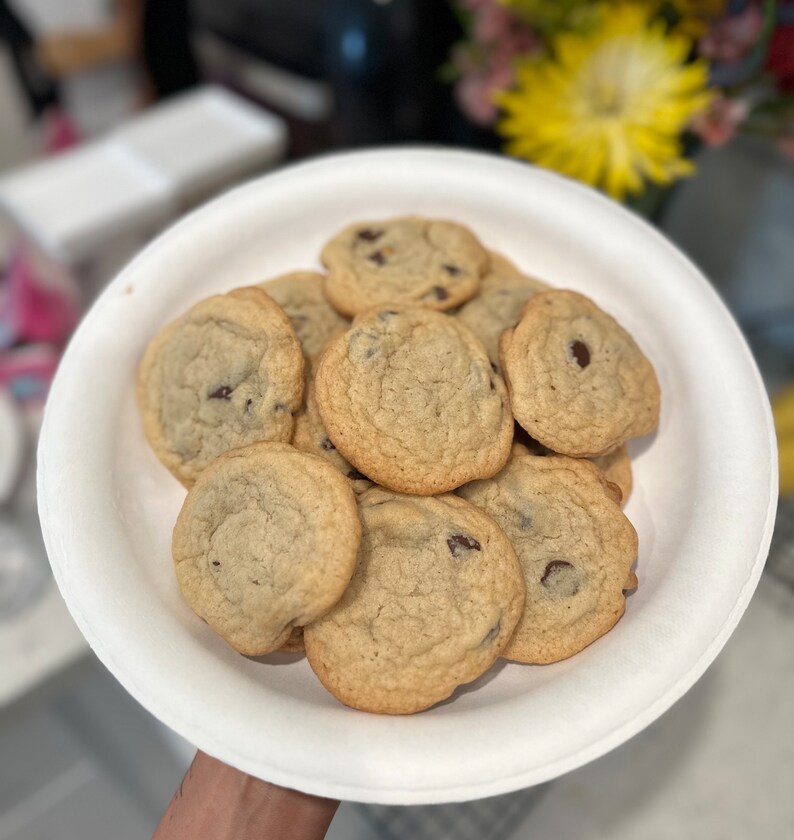 Fallout Themed Cookies - Etsy