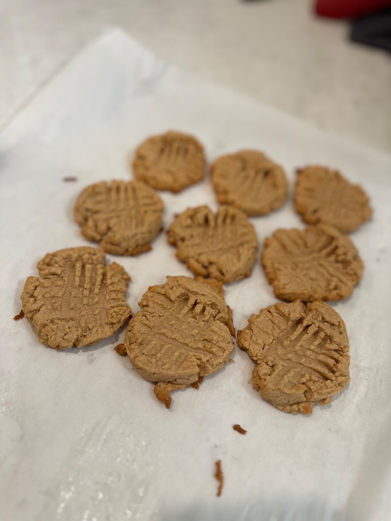 Fallout Themed Cookies - Etsy