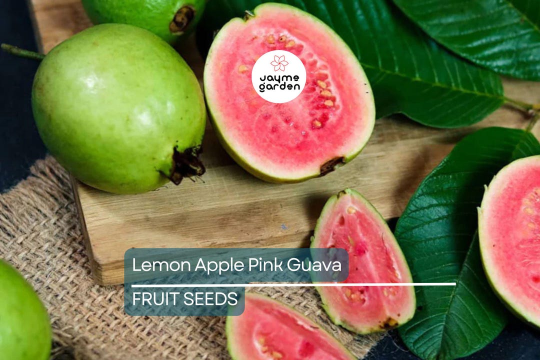 20 Ruby Supreme Guava Tree Seeds - Psidium Guajava - Grow Exotic Pink ...