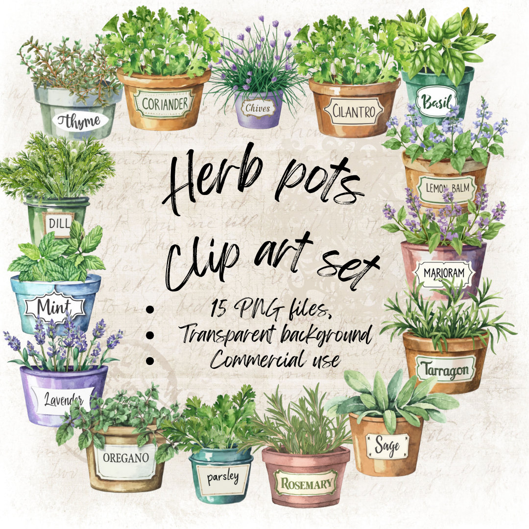 Herb Plants Clip Art Set 15 High Resolution PNG Files With Transparent ...