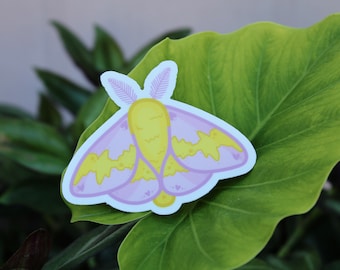 Rosy Maple Moth Vinyl Sticker - Etsy
