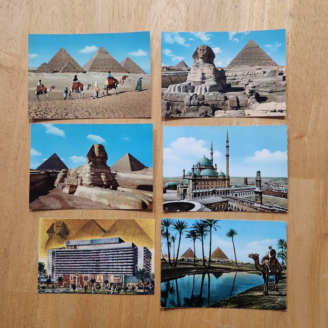 1960s Picture Postcards Cairo Egypt Pyramids Camels Lot of 6 Unposted ...