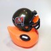 TAMPA BAY BUCCANEERS Rubber Duck Gift Bedazzled Duck Cruise Dashboard ...