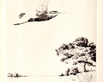 Richard bishop | Etsy