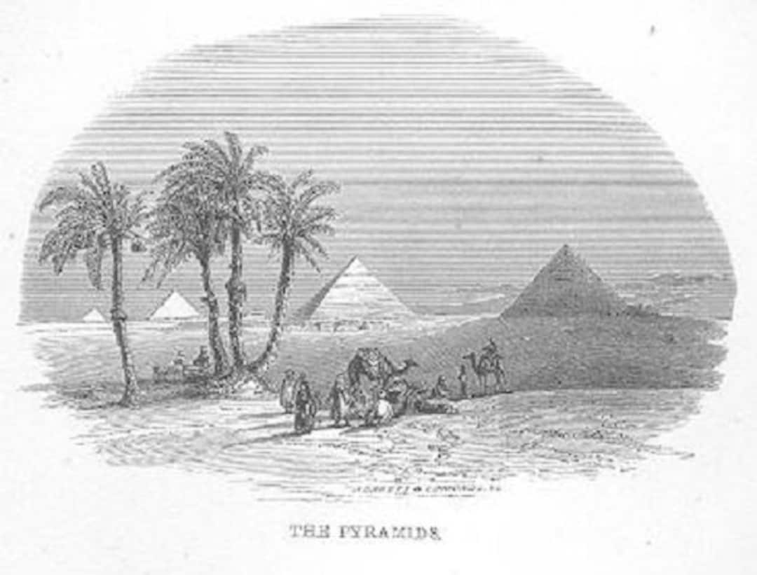 PYRAMIDS EGYPTIAN CAMELS Palm Trees ~ Egypt and Egyptian ~ Vintage ...