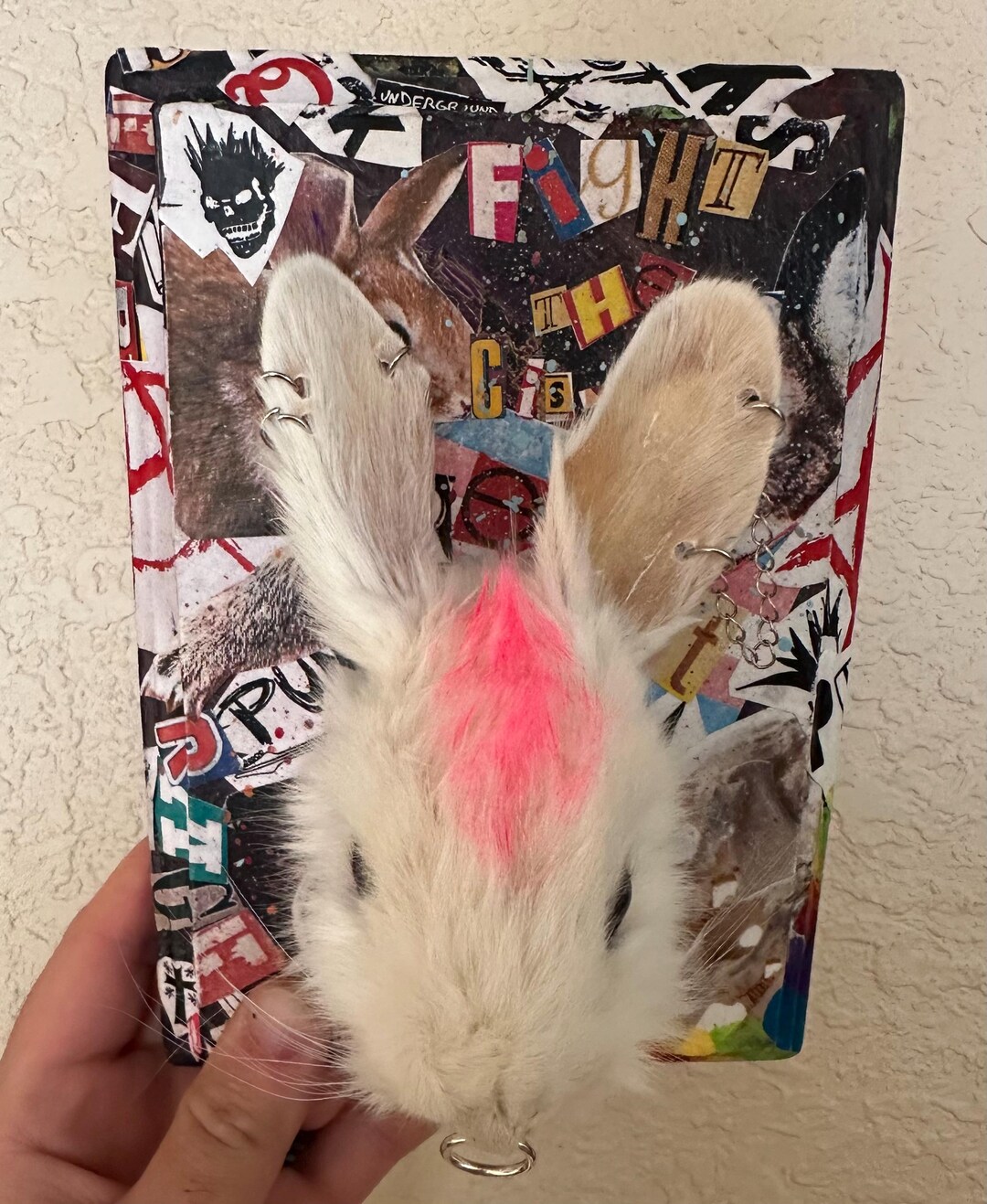 Punk Rabbit Taxidermy - Etsy
