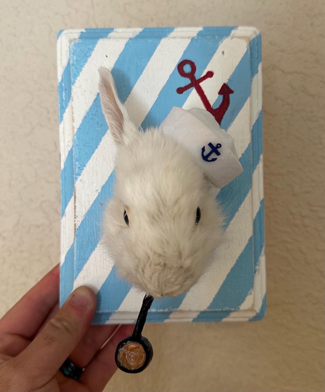 Sailor Rabbit Taxidermy - Etsy