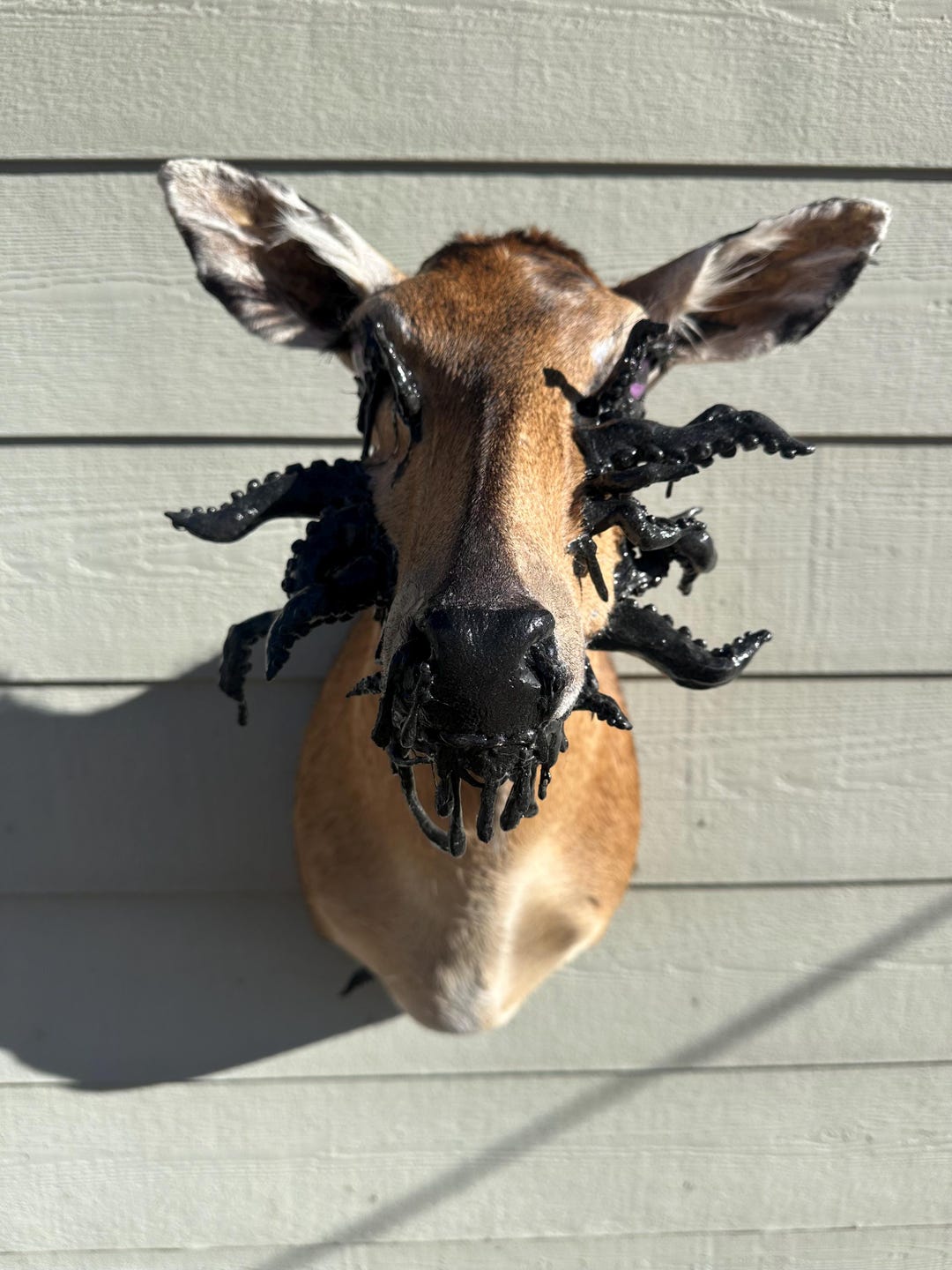 LOCAL PICKUP ONLY — Horror Taxidermy Mount - Etsy