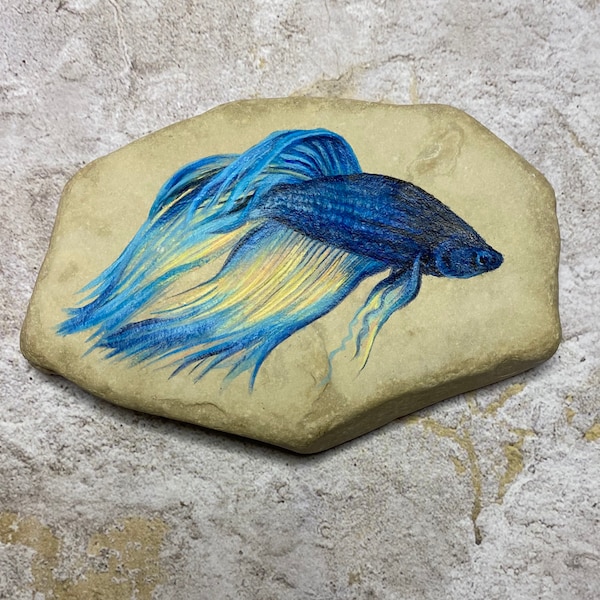Fish Painted Rocks - Etsy