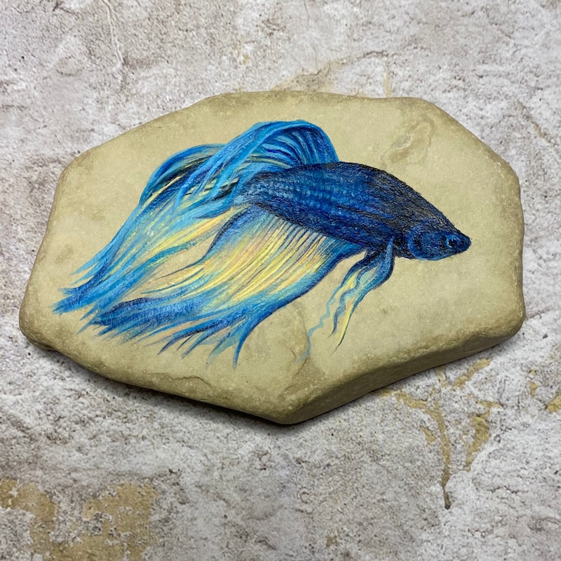 Fish Painted Rocks - Etsy