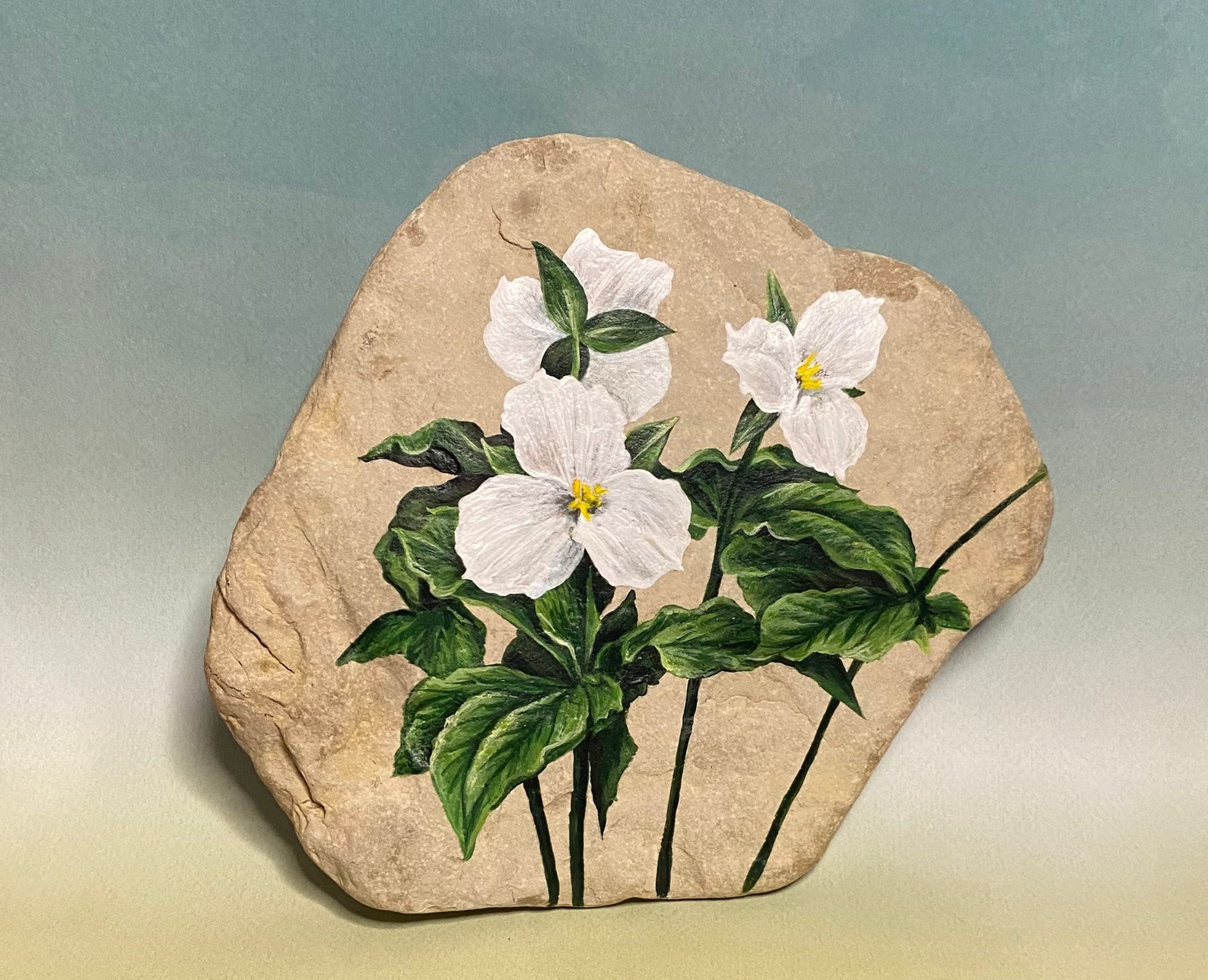 Trillium Painted Rock Gift Paperweight Painting - Etsy
