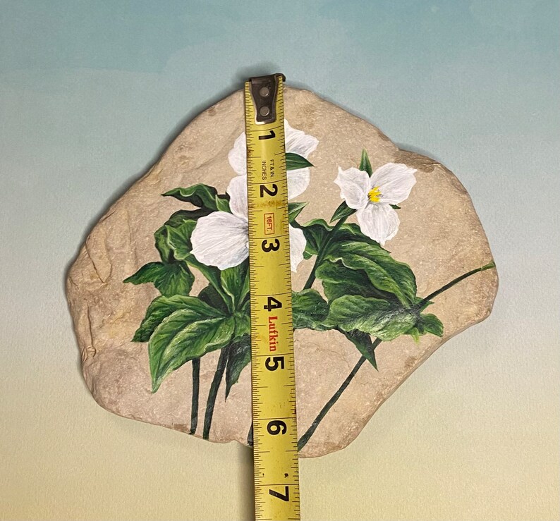 Trillium Painted Rock Gift Paperweight Painting - Etsy