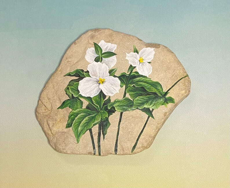 Trillium Painted Rock Gift Paperweight Painting - Etsy