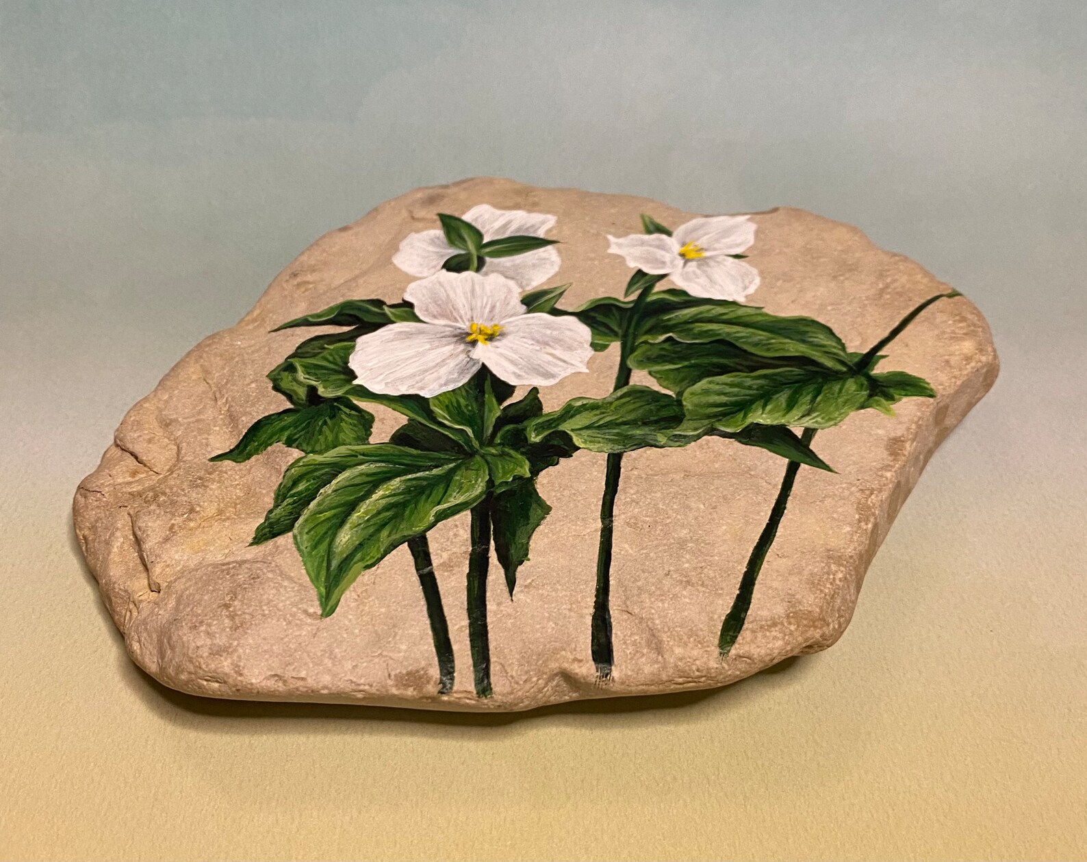 Trillium Painted Rock Gift Paperweight Painting - Etsy