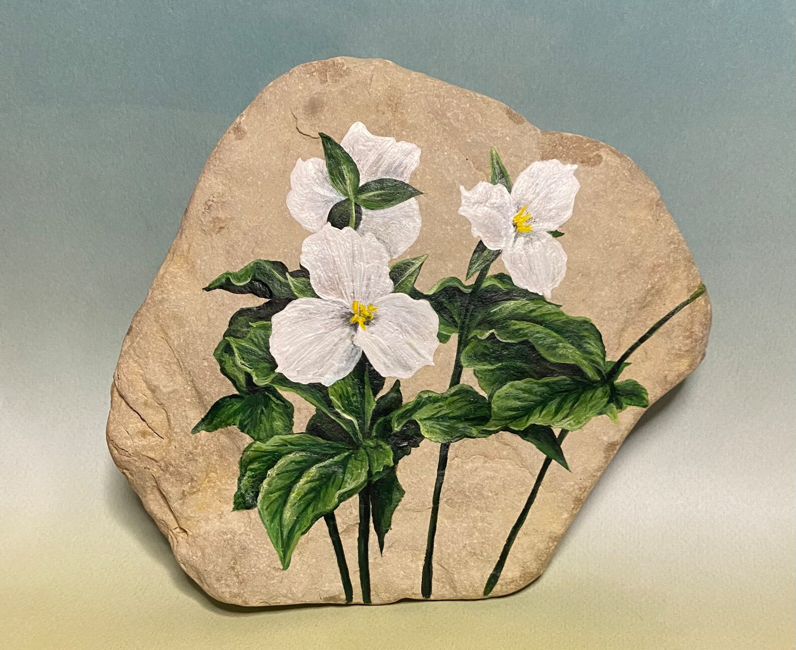 Trillium Painted Rock Gift Paperweight Painting - Etsy