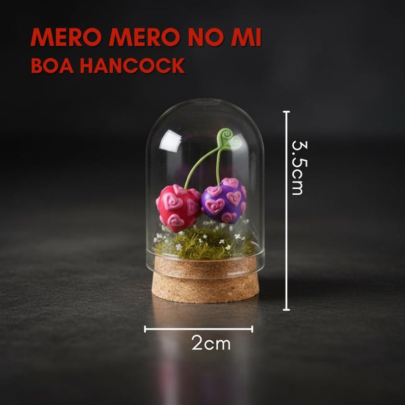 Gomu Gomu Fruit Terrarium, O.ne Pi.ec.e Devil Fruit Glass Dome, Anime ...