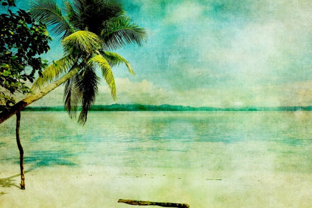 Black Sarong Perfume Oil ~ Coconut Starflower Almond Musk Milk Vanilla ...