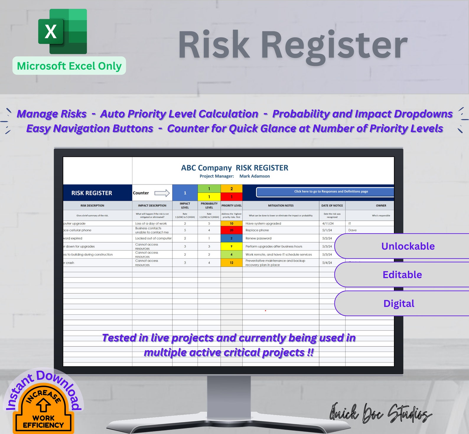 RACI Budget & Risk Tracker: Small Business Excel Spreadsheet - Etsy