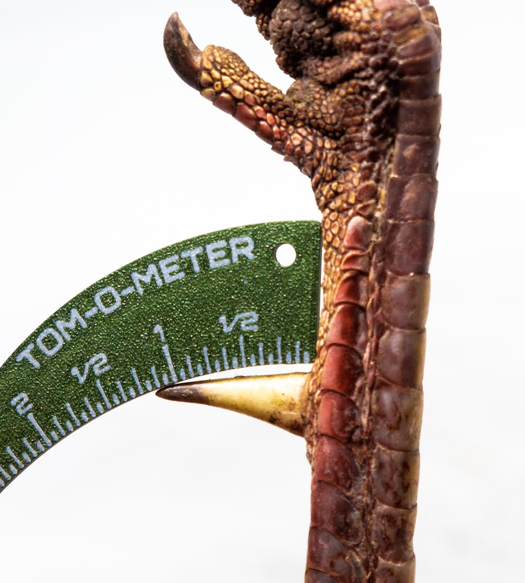 Wild Turkey Spur Gauge "tom-o-meter". Gift for Turkey Hunters. - Etsy