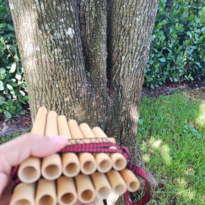 Pan Flute Pipes Native American Indigenous Style FREE Coin Bag Included ...