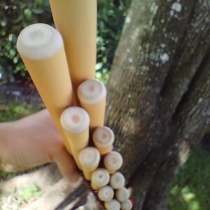 Pan Flute Pipes Native American Indigenous Style FREE Coin Bag Included ...