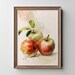 Apple Digital Art, Apple Print, Apple Wall Art, Red Apples, Apples ...