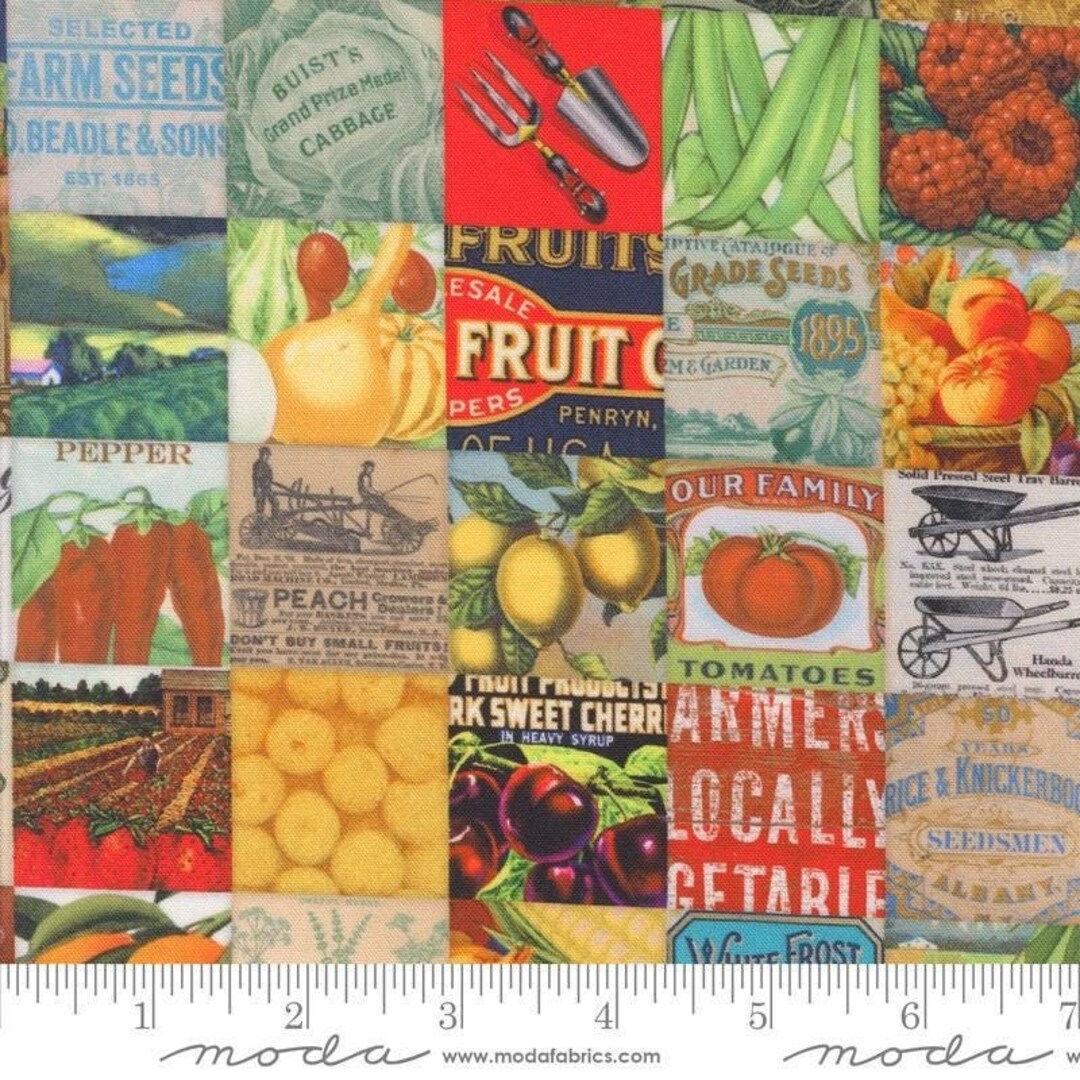 Cathe Holden Farm and Garden 7474-11, Moda Fabric, Patchwork Garden ...