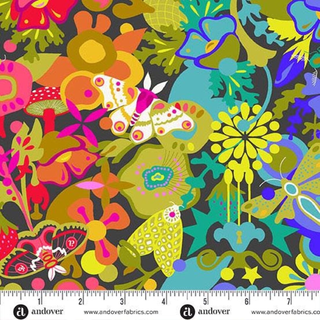 Alison Glass Color Wheel Art Theory Whole Cloth Night A-1441-K, Andover ...